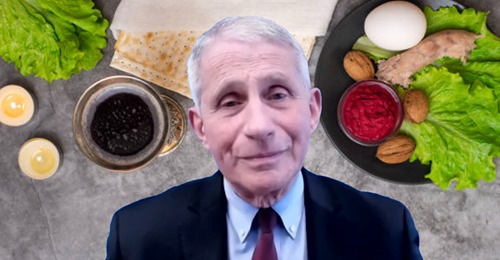 New Piece Up at McSweeney’s | Jackie Pick